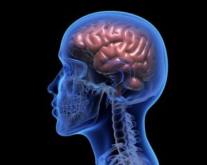 THE DANGERS ASSOCIATED WITH BOXING – EdMaths